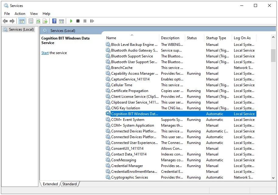 Step 2b - On-Prem Installation of Cognition360 Data Service – Cognition360